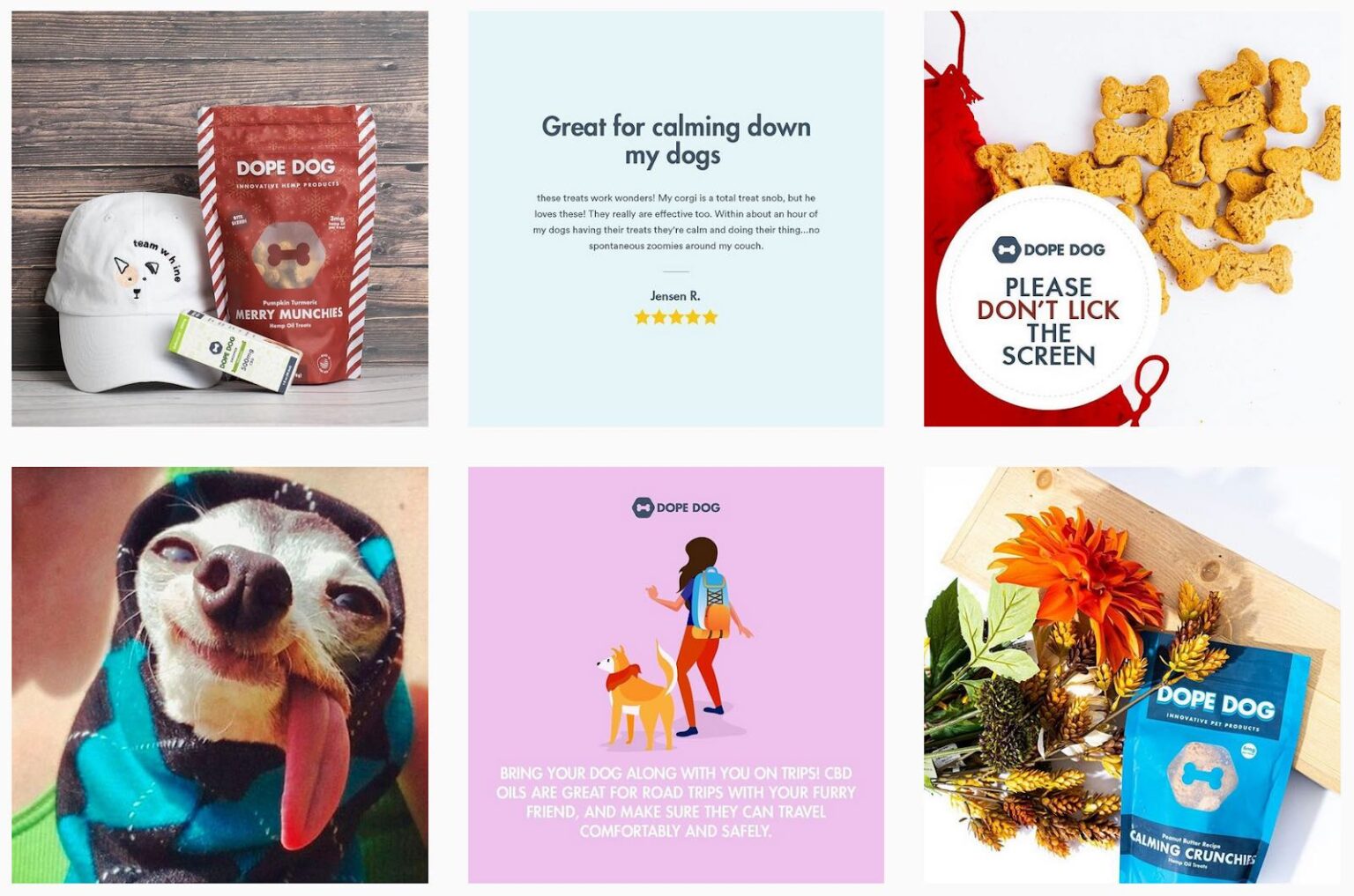 21 Pet Brands Looking for Dog & Cat Loving Influencers | Afluencer
