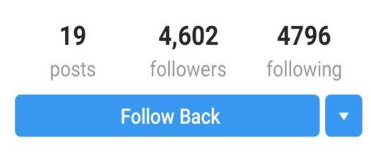 How to Recognize Fake Instagram Accounts + Posts