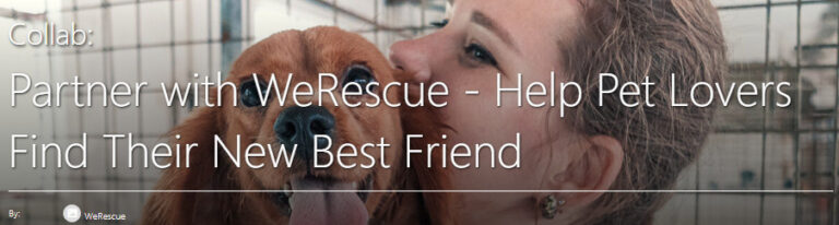 21 Pet Brands Looking for Dog & Cat Loving Influencers | Afluencer